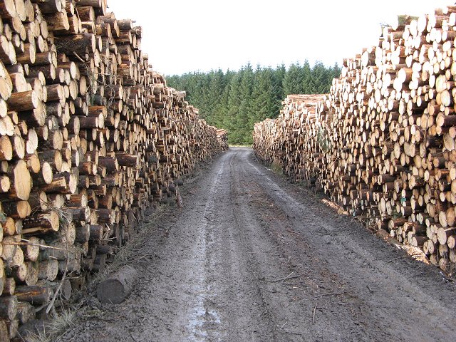 From Installation to Advanced Configuration: Setting Up Serilog for C# Success - PureSourceCode